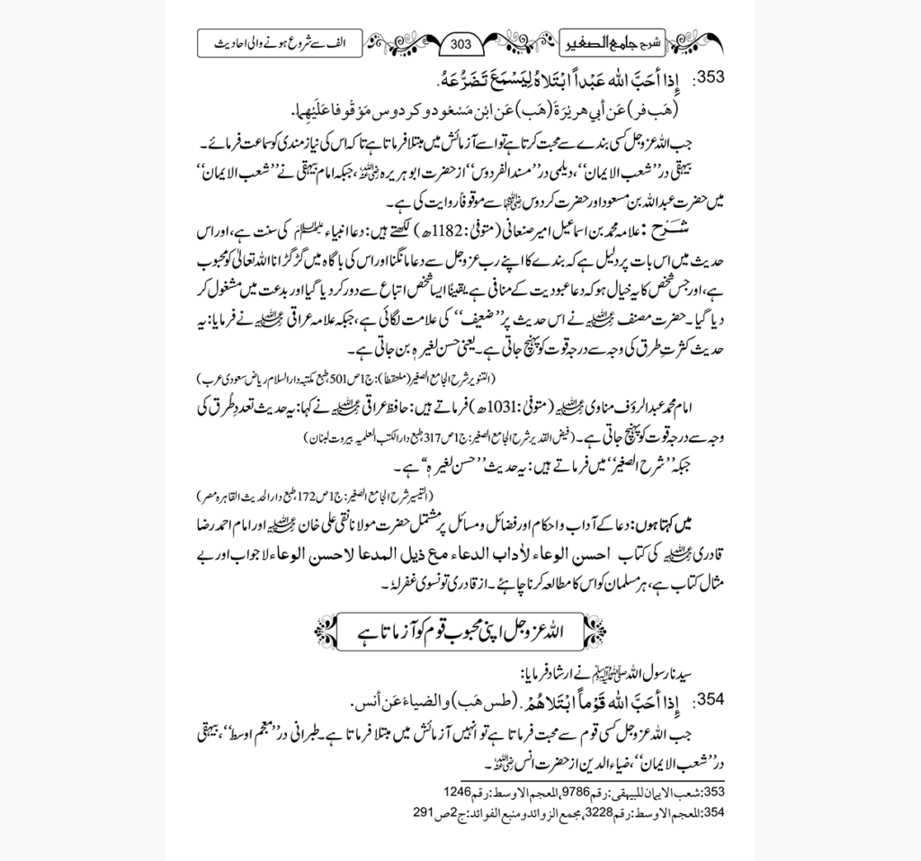 Al-Jaami al-Saghir Sharah Al-Nafi al-Kabir Urdu - Maktaba Ala Hazrat