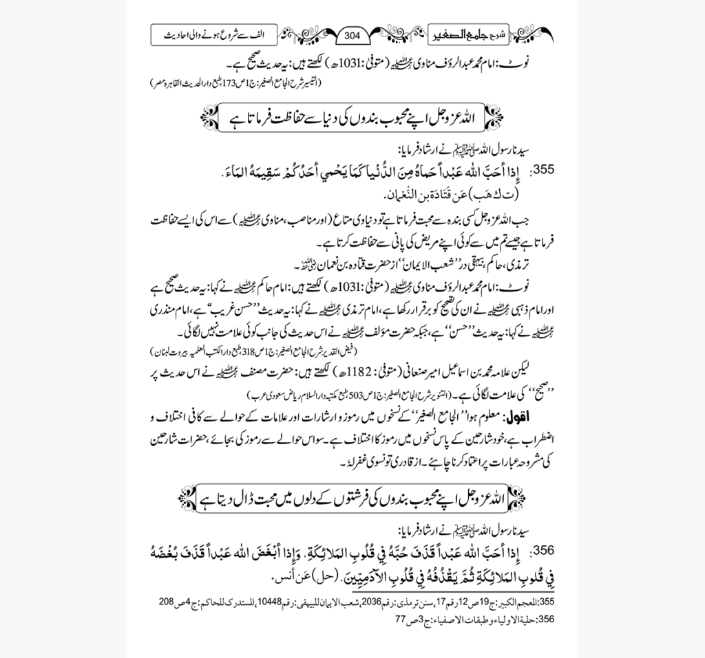 Al-Jaami al-Saghir Sharah Al-Nafi al-Kabir Urdu - Maktaba Ala Hazrat